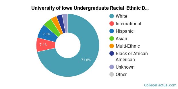 University of Iowa Diversity: Racial Demographics & Other Stats