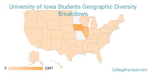 University of Iowa Diversity: Racial Demographics & Other Stats