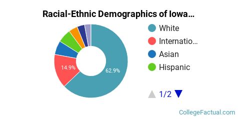 University of Iowa Diversity: Racial Demographics & Other Stats