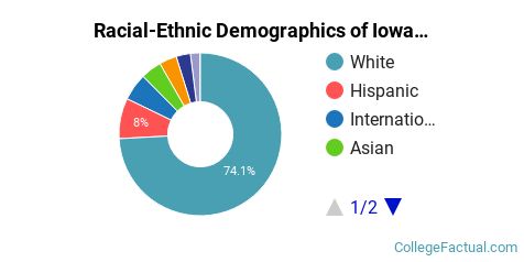 University of Iowa Diversity: Racial Demographics & Other Stats