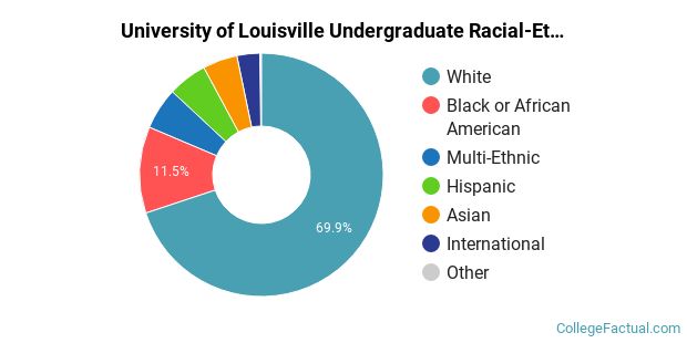University of Louisville Diversity: Racial Demographics & Other Stats