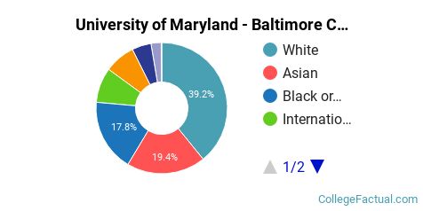 University of Maryland - Baltimore County Diversity: Racial ...