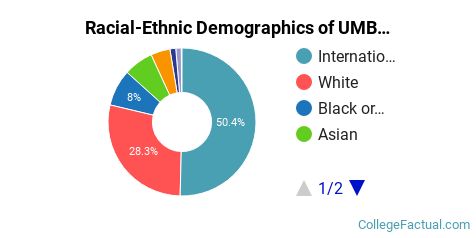 University of Maryland - Baltimore County Diversity: Racial ...