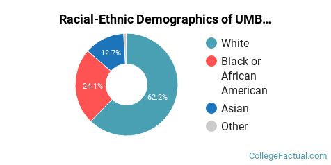 University of Maryland - Baltimore Diversity: Racial Demographics ...