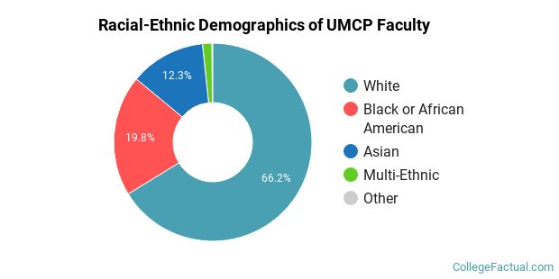 University of Maryland - College Park Diversity: Racial Demographics ...