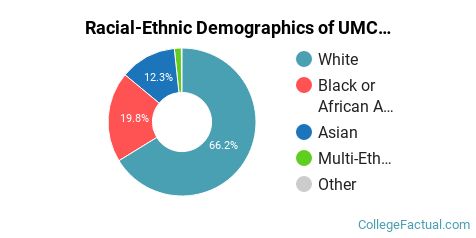 University of Maryland - College Park Diversity: Racial Demographics ...