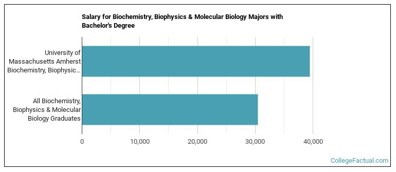 The Biochemistry Major at University of Massachusetts Amherst