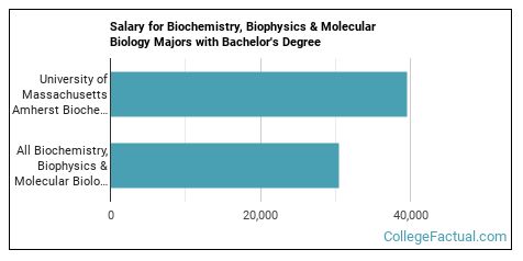 The Biochemistry Major at University of Massachusetts Amherst