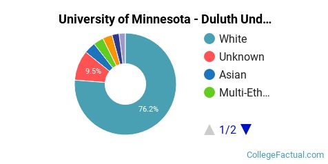 University of Minnesota - Duluth Diversity: Racial Demographics & Other ...