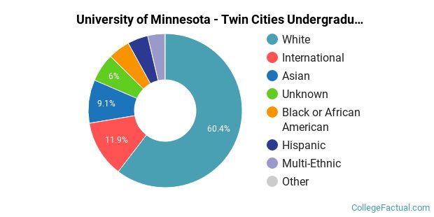 University of Minnesota - Twin Cities Diversity: Racial Demographics ...