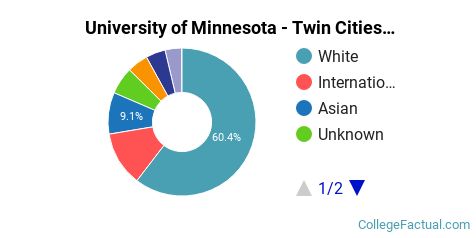 University of Minnesota - Twin Cities Diversity: Racial Demographics ...