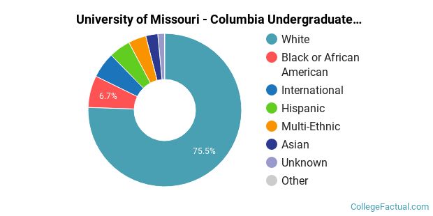 University of Missouri - Columbia Diversity: Racial Demographics ...