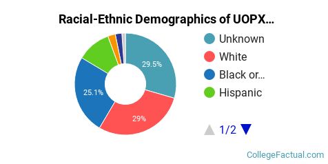 University of Phoenix - Arizona Diversity: Racial Demographics & Other ...