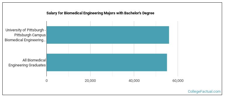 The Bio Engineering Major at University of Pittsburgh - Pittsburgh Campus