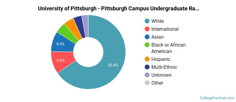 University of Pittsburgh - Pittsburgh Campus Diversity: Racial ...