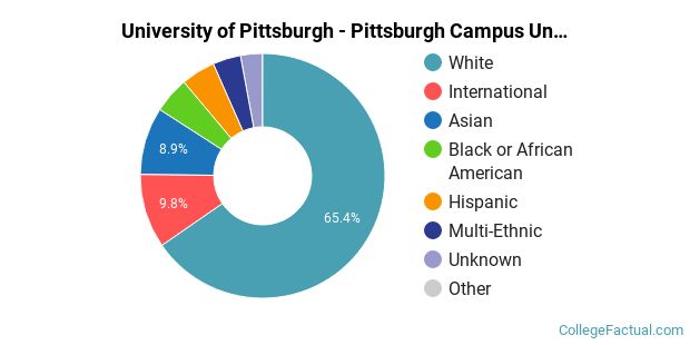University of Pittsburgh - Pittsburgh Campus Diversity: Racial ...