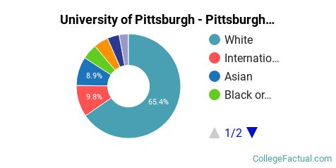 University of Pittsburgh - Pittsburgh Campus Diversity: Racial ...