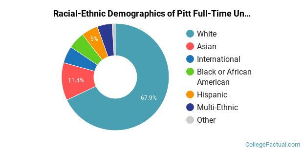 University of Pittsburgh - Pittsburgh Campus Diversity: Racial ...
