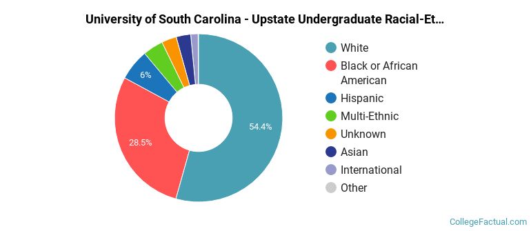 University of South Carolina - Upstate Diversity: Racial Demographics ...