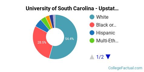 University of South Carolina - Upstate Diversity: Racial Demographics ...
