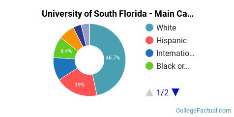 University of South Florida - Main Campus Diversity: Racial ...