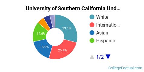 University of Southern California Diversity: Racial Demographics ...
