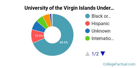 University of the Virgin Islands Diversity: Racial Demographics & Other ...