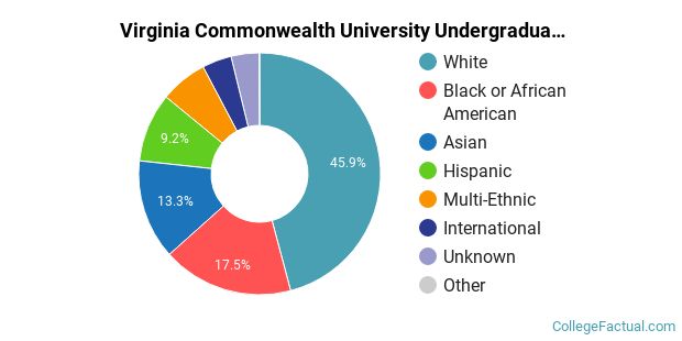 Virginia Commonwealth University Diversity: Racial Demographics & Other ...