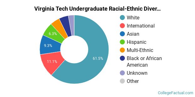 Virginia Tech Diversity: Racial Demographics & Other Stats