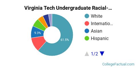 Virginia Tech Diversity: Racial Demographics & Other Stats