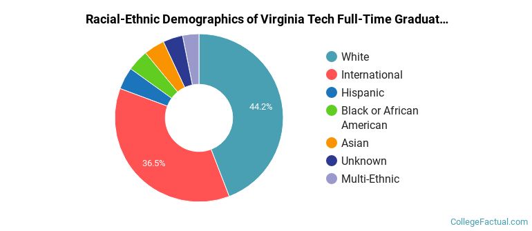 Virginia Tech Diversity: Racial Demographics & Other Stats