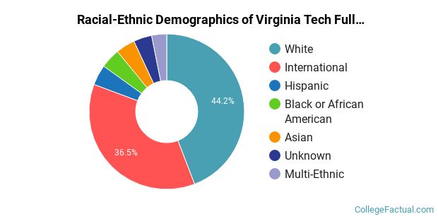 Virginia Tech Diversity: Racial Demographics & Other Stats