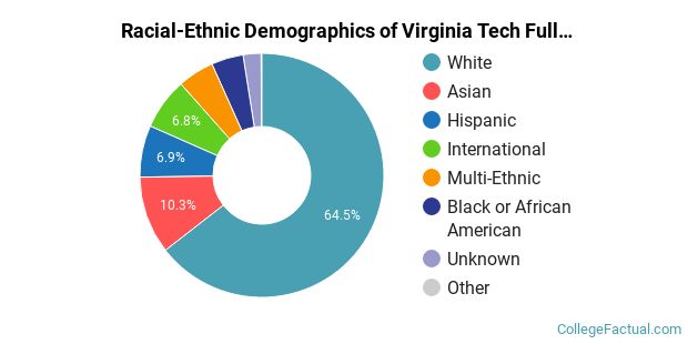 Virginia Tech Diversity: Racial Demographics & Other Stats