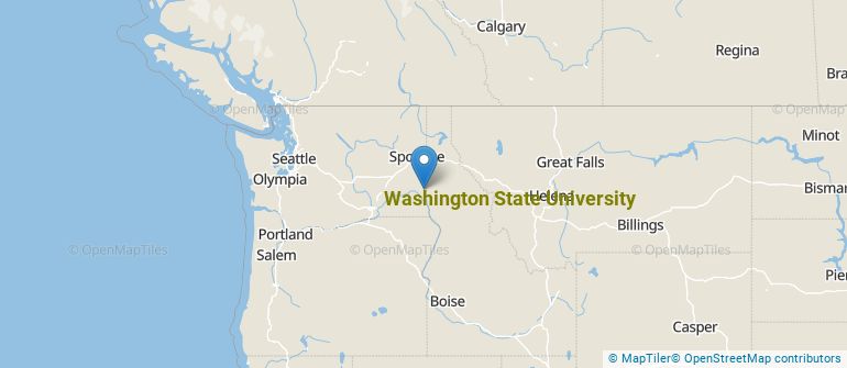 Washington State University Overview