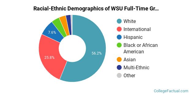 Wichita State University Diversity: Racial Demographics & Other Stats