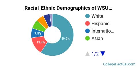 Wichita State University Diversity: Racial Demographics & Other Stats
