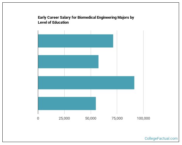 2023 Biomedical Engineering Degree Guide