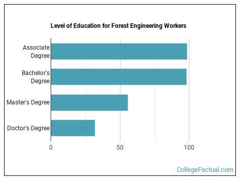 2023 Forest Engineering Degree Guide | Find Your Future Faster