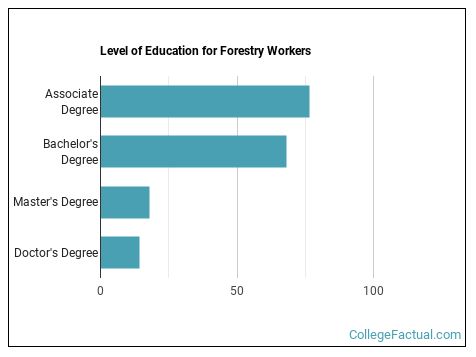 2023 Forestry Degree Guide | Find Your Future Faster
